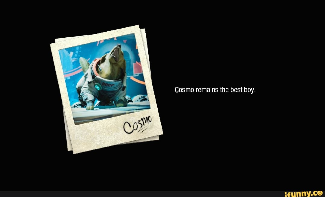 Cosmo remains the best boy. - iFunny