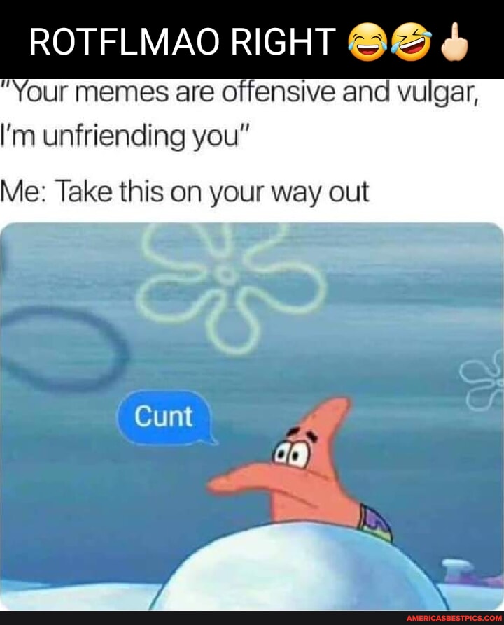 ROTFLMAO RIGHT our memes are offensive and vulgar, I'm unfriending you ...