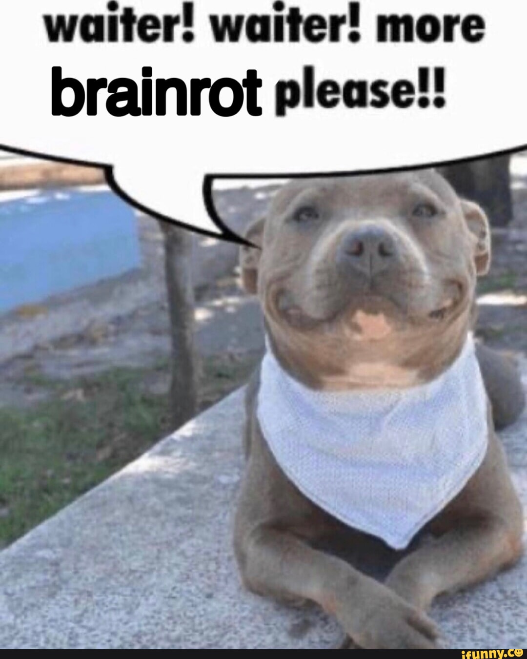 Waiter! waiter! more brainrot please! - iFunny