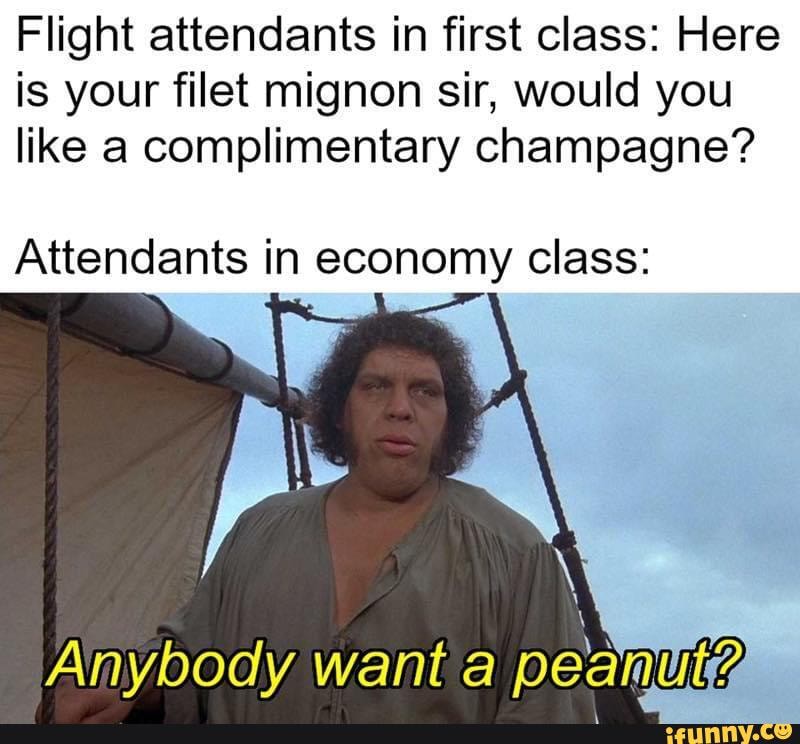 Flight attendants in first class: Here is your filet mignon sir, would ...