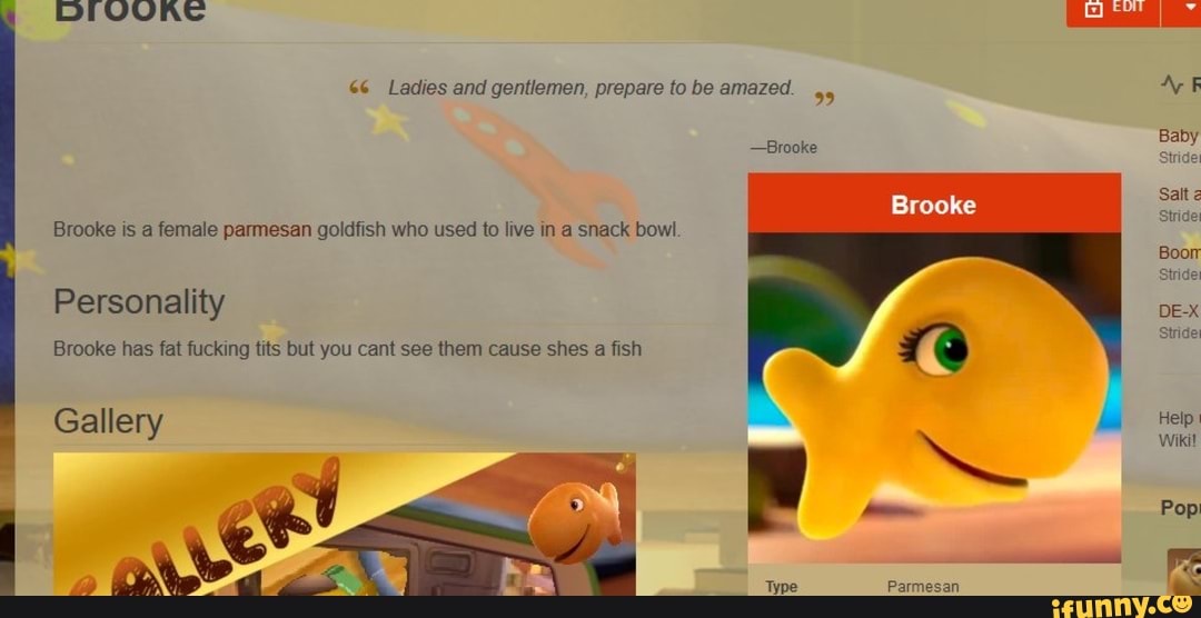 Brooke is a female parmesan goldfish who used to live in a snack bowl ...