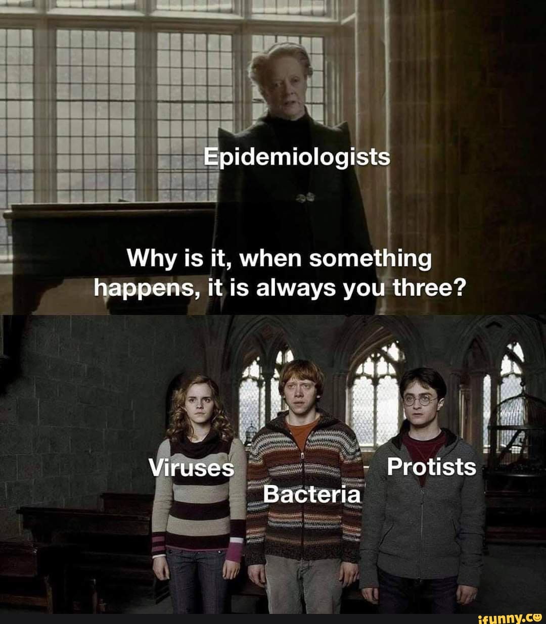 Protist memes. Best Collection of funny Protist pictures on iFunny