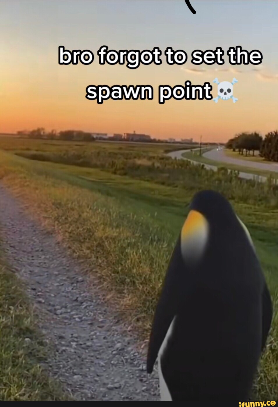 Bro forgot to set the spawn point - iFunny