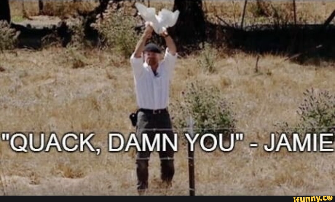 Quack memes. Best Collection of funny Quack pictures on iFunny