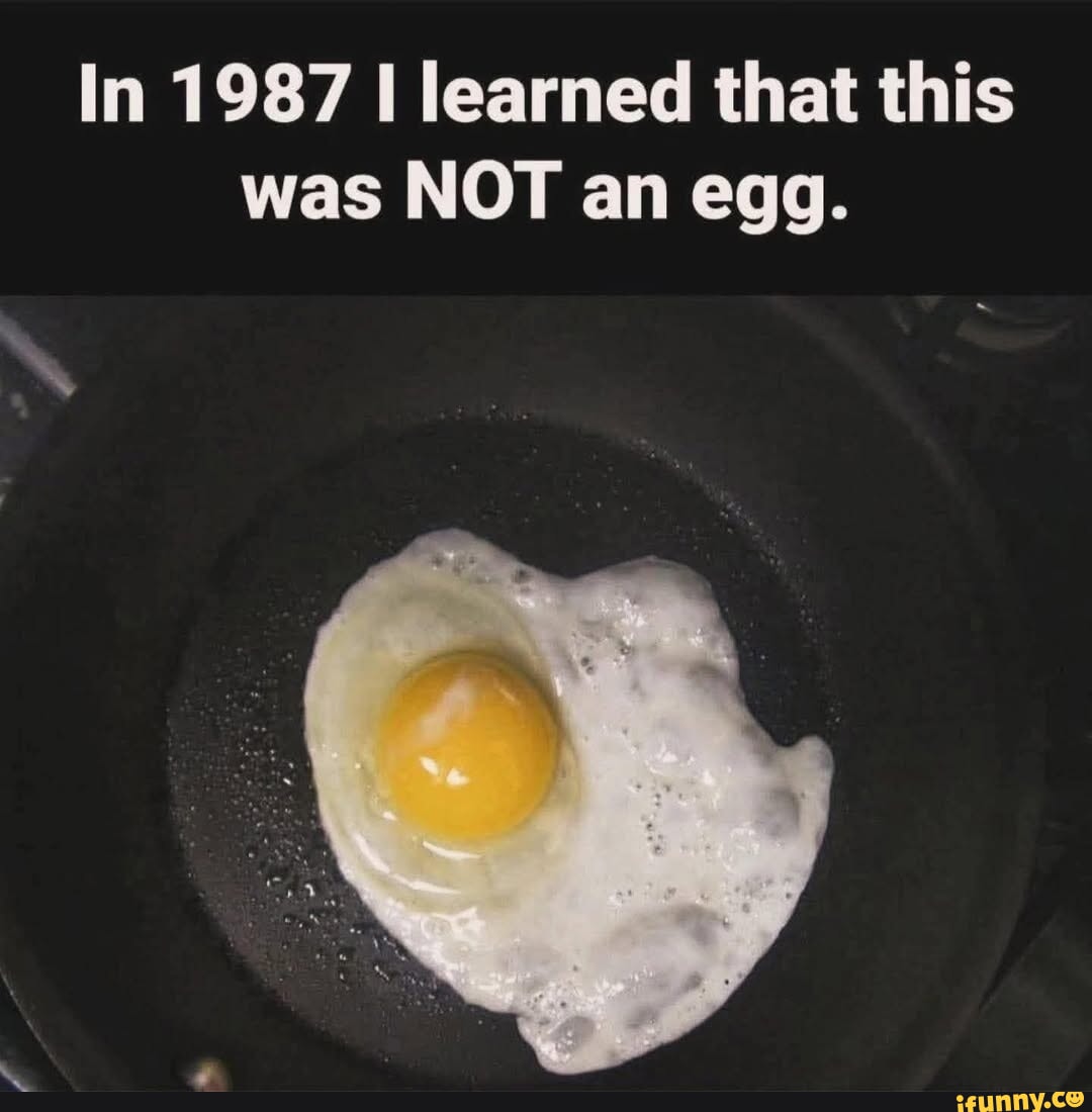 In 1987 learned that this was NOT an egg. - iFunny