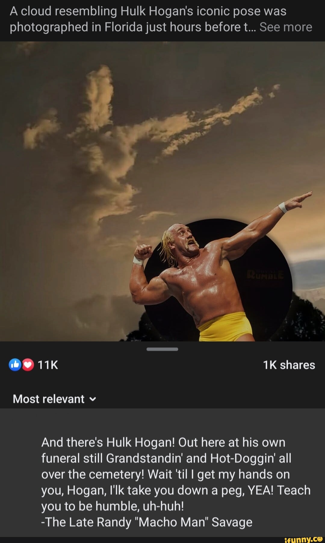A cloud resembling Hulk Hogan's iconic pose was photographed in Florida ...