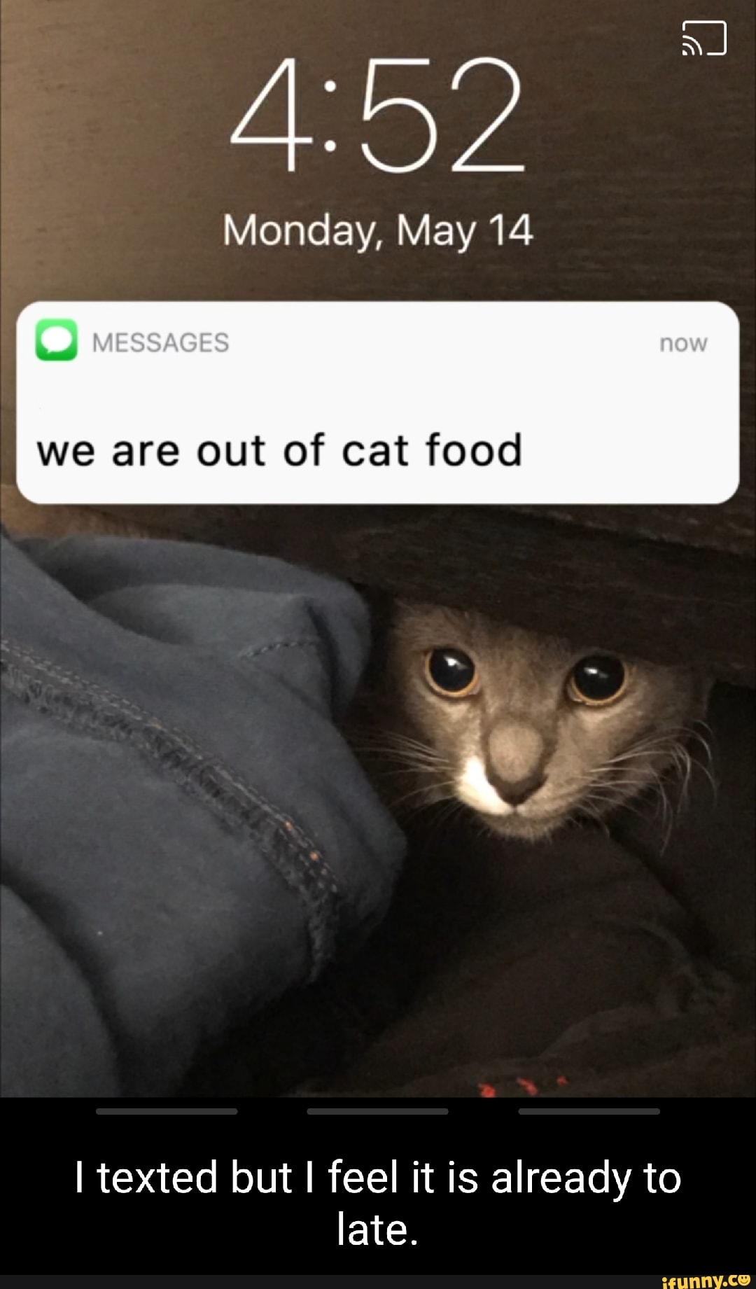 Monday, May 14 MESSAGES now we are Out of cat food I texted but I feel ...