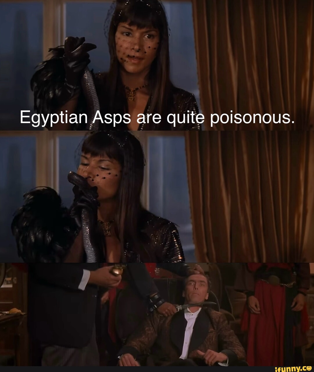 Egyptian memes. Best Collection of funny Egyptian pictures on iFunny