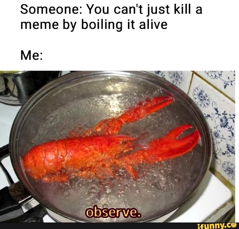 Someone: You can't just kill a meme by boiling it alive - iFunny