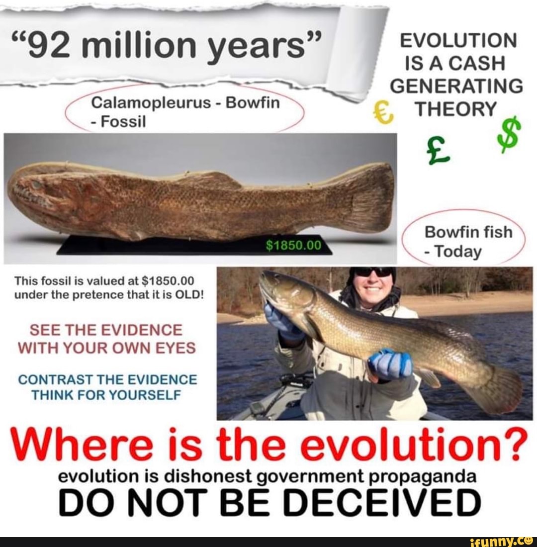"92 million years" EVOLUTION IS A CASH GENERATING Calamopleurus ...