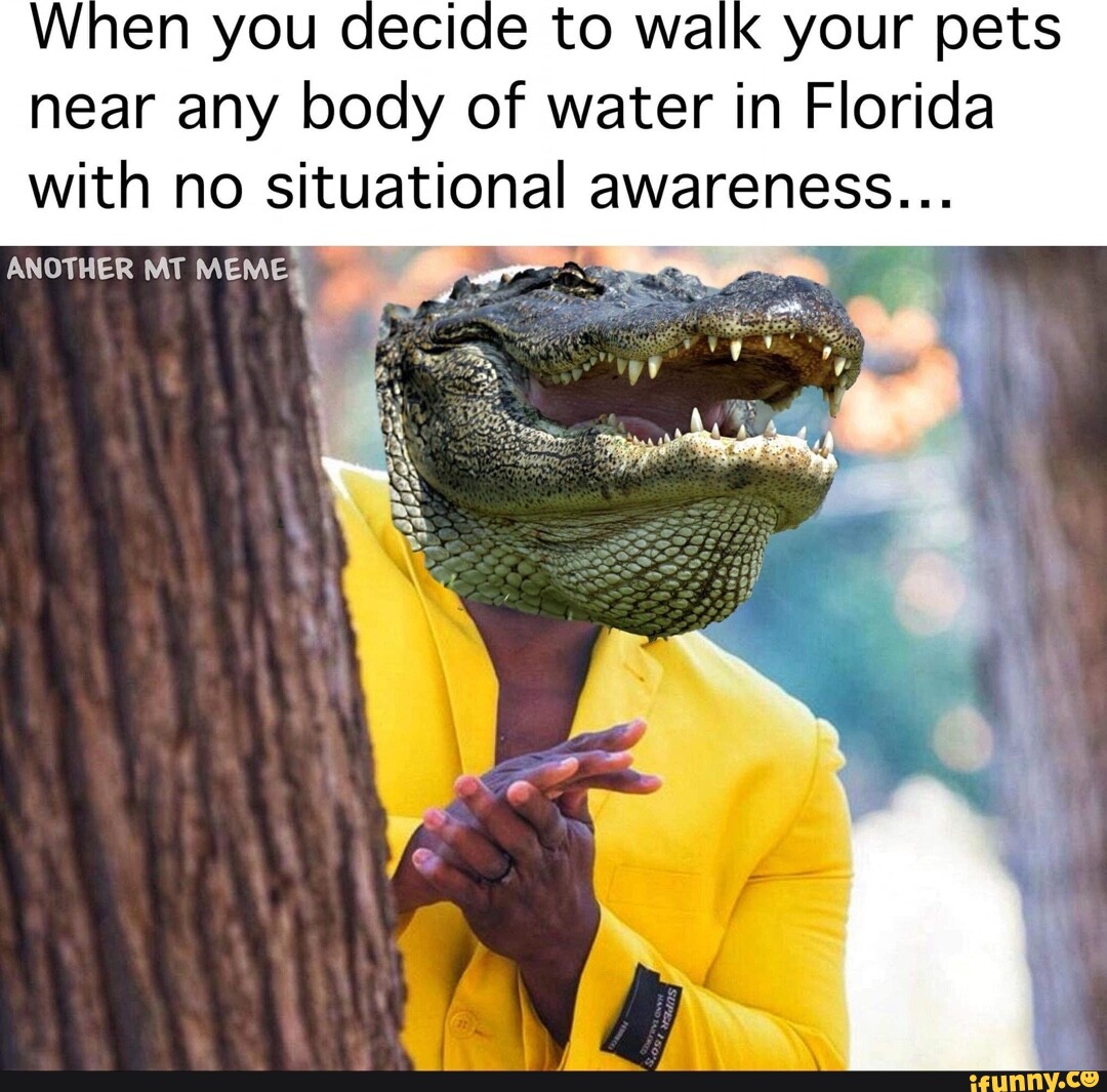 Situational memes. Best Collection of funny Situational pictures on iFunny