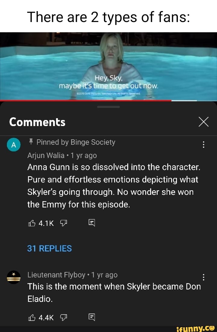 There are 2 types of fans: Hey Sky, Comments Pinned by Binge Society ...