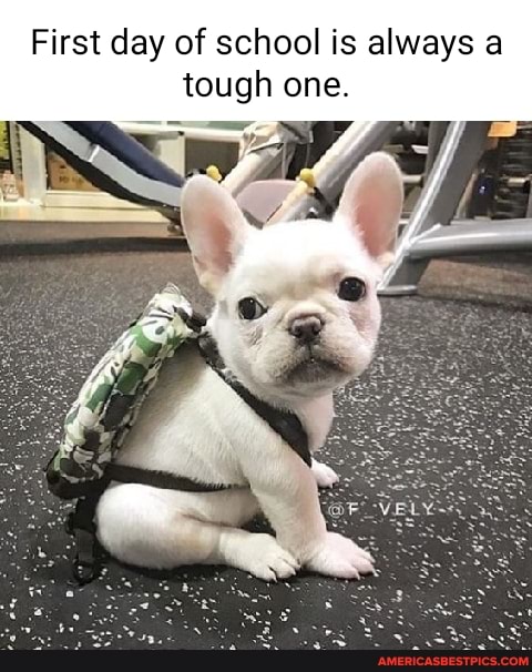 First day of school is always tough one. - America’s best pics and videos