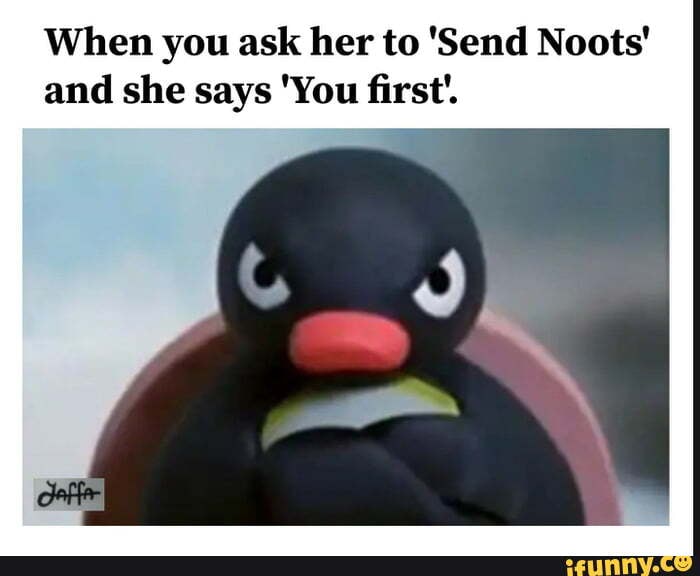 Noots memes. Best Collection of funny Noots pictures on iFunny