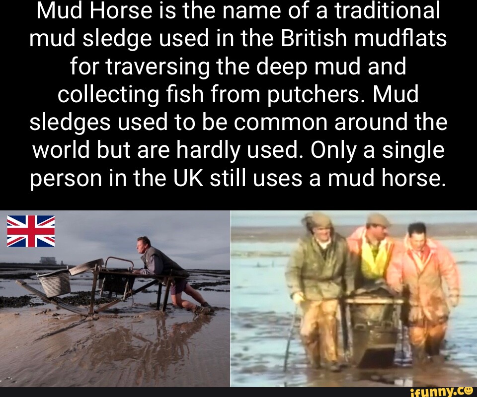Mud Horse is the name of a traditional mud sledge used in the British ...
