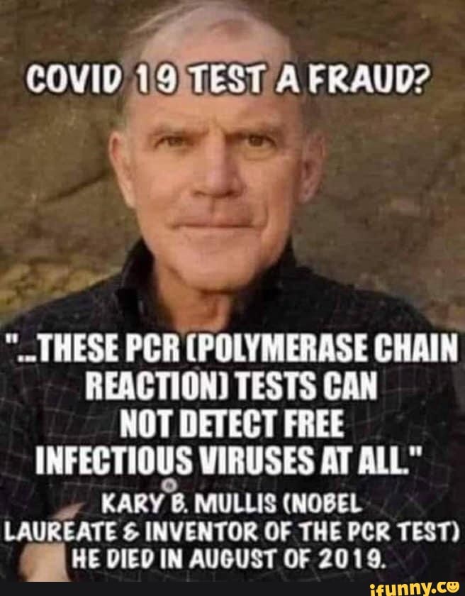 COVID TEST FRAUD? THESE PCR (POLYMERASE CHAIN REACTION) TESTS CAN NOT ...