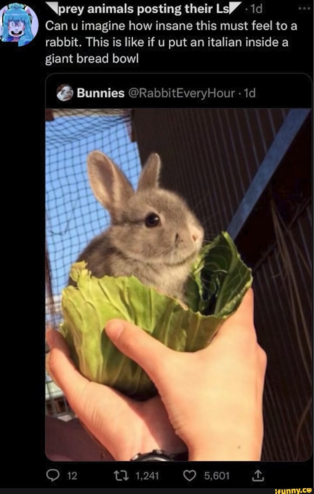 Bnuuy memes. Best Collection of funny Bnuuy pictures on iFunny