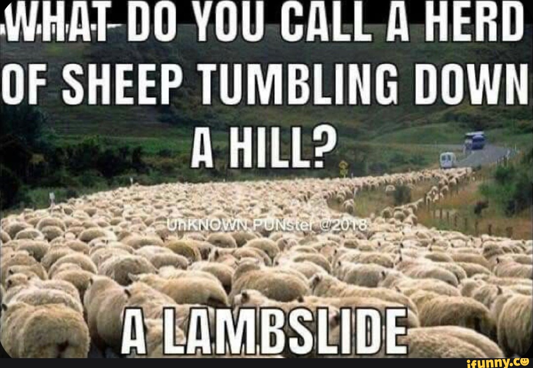 Tumbling memes. Best Collection of funny Tumbling pictures on iFunny