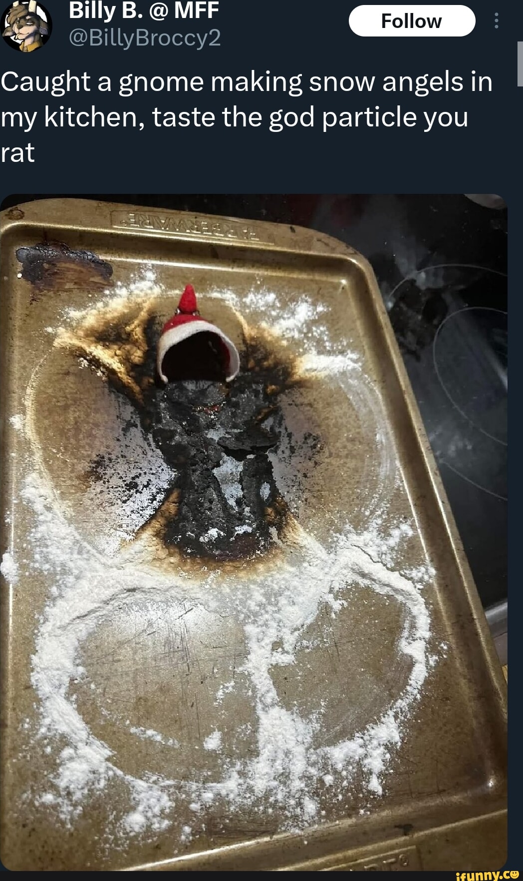ON Billy B. @ MIFF @BillyBroccy2 Follow I Caught a gnome making snow ...