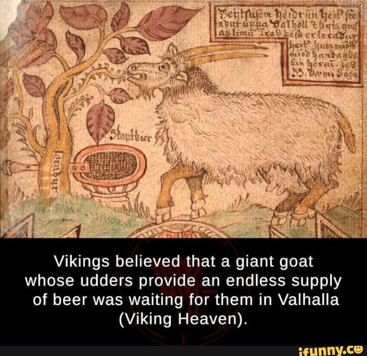 Vikings believed that a giant goat whose udders provide an endless ...