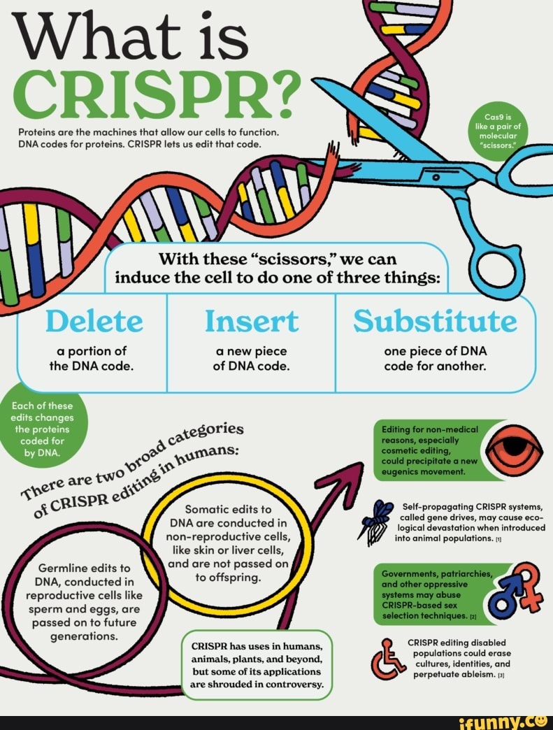 What is CRISPR? Proteins are the machines that allow our cells to ...
