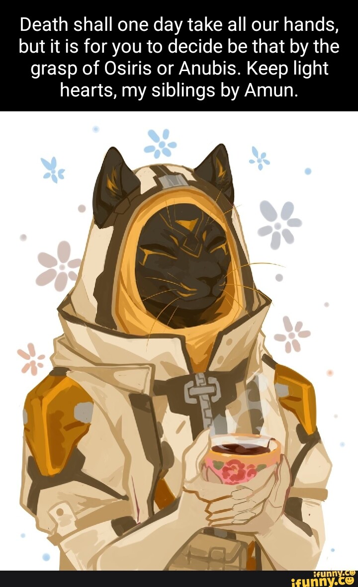 Amun memes. Best Collection of funny Amun pictures on iFunny