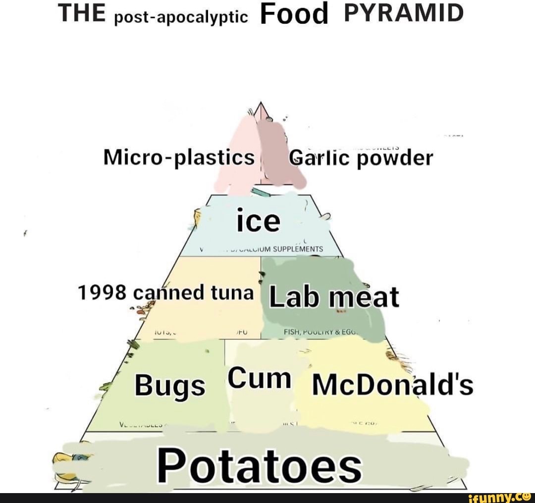 THE post-apocalyptic Food PYRAMID Micro-plastics Garlic powder ice ...