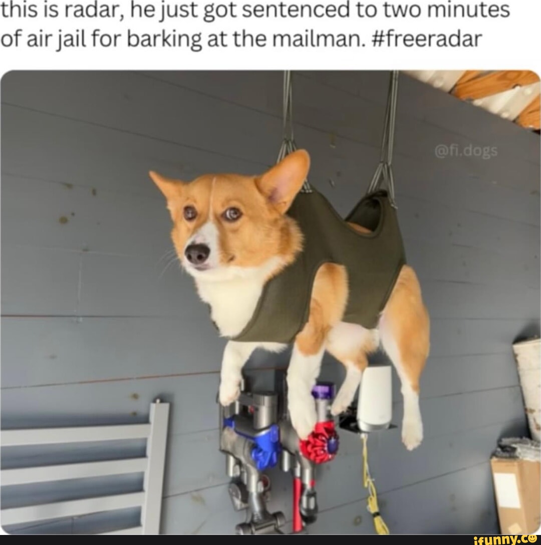 Radar memes. Best Collection of funny Radar pictures on iFunny