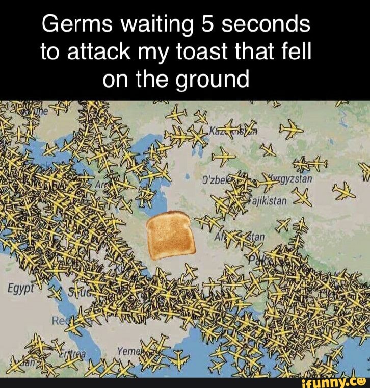 Germs waiting 5 seconds to attack my toast that fell - iFunny