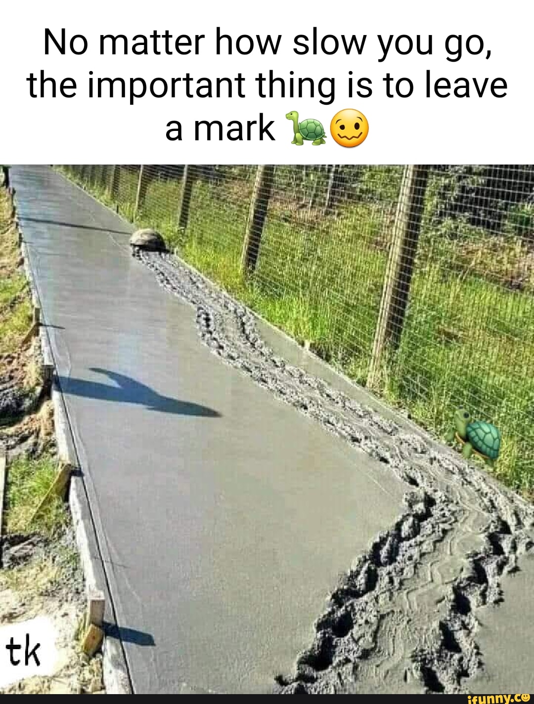 Cursed_Images (An extra girthy dump) - iFunny