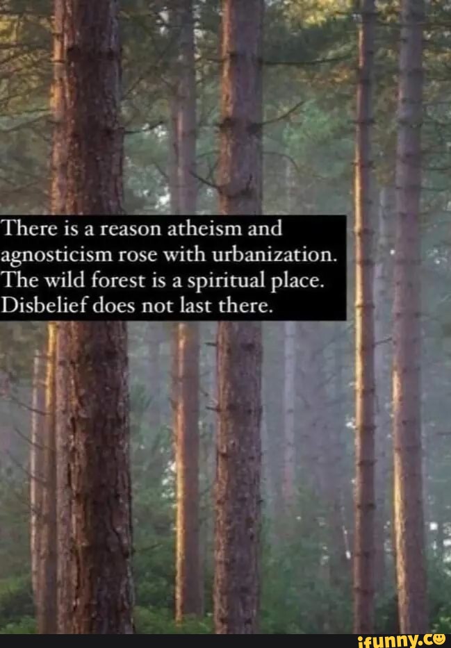 Urbanization memes. Best Collection of funny Urbanization pictures on ...