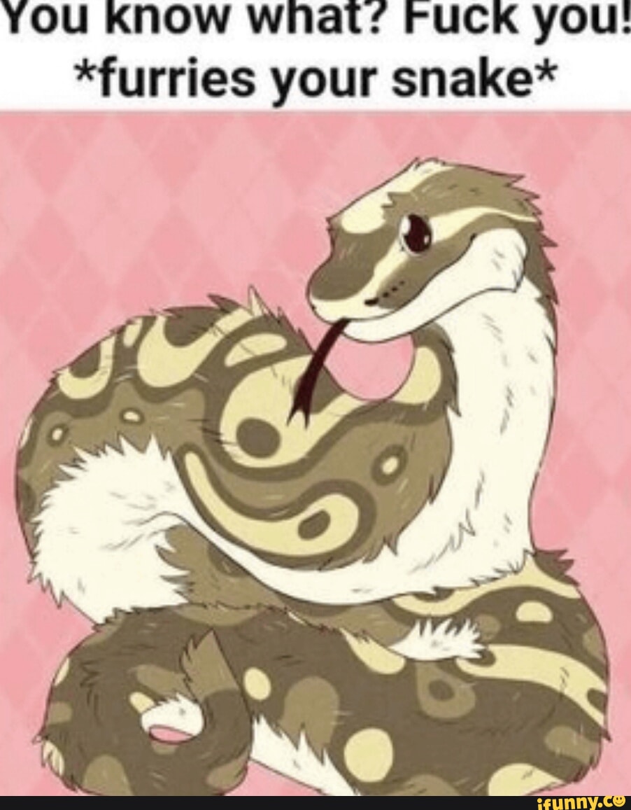 You KNOW wnat' FUCK you" *furries your snake* - iFunny
