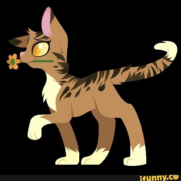Leafpool memes. Best Collection of funny Leafpool pictures on iFunny