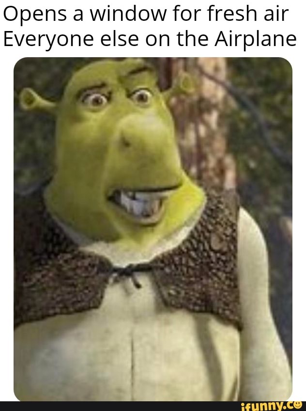 Opens a window for fresh air Everyone else on the Airplane - iFunny