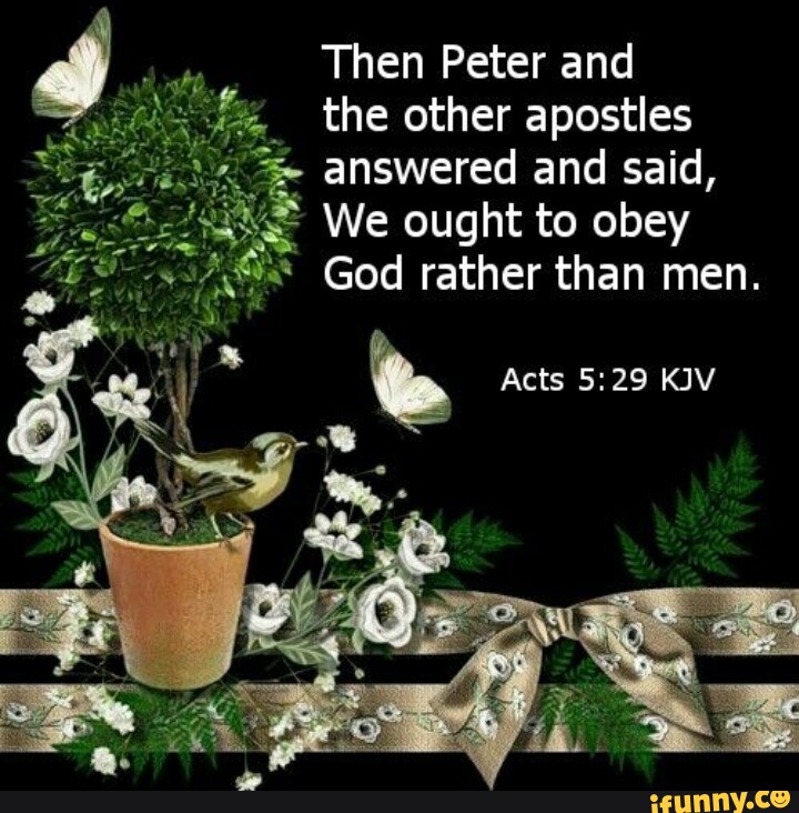 Then Peter and the other apostles answered and said, We ought to obey ...