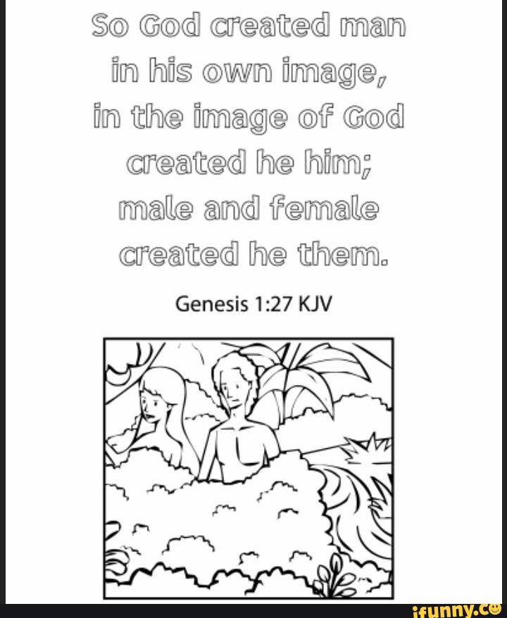 So God created man in his own image, in the image of God created he him ...