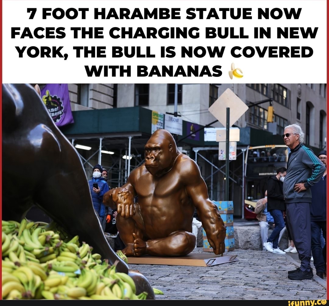 7 FOOT HARAMBE STATUE NOW FACES THE CHARGING BULL IN NEW YORK, THE BULL ...