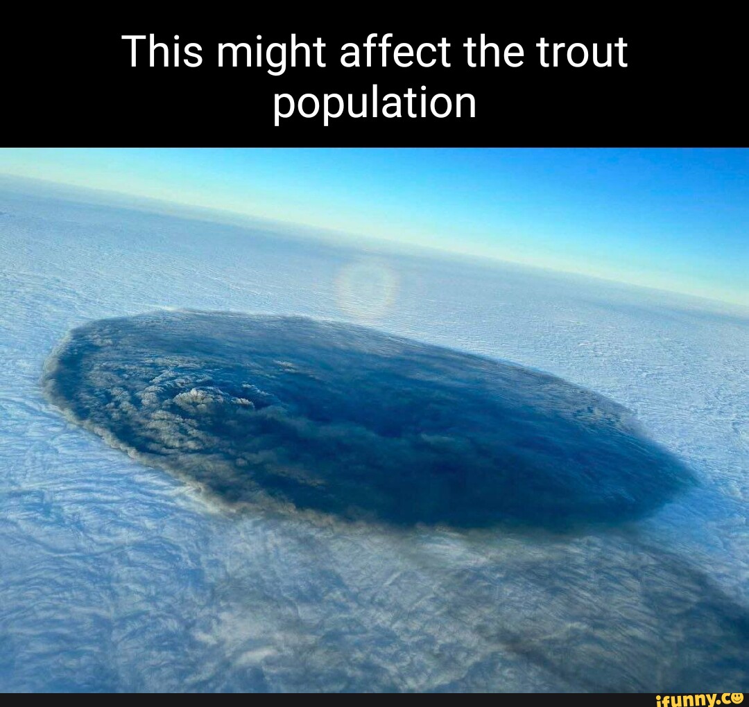 This Might Affect The Trout Population Ifunny