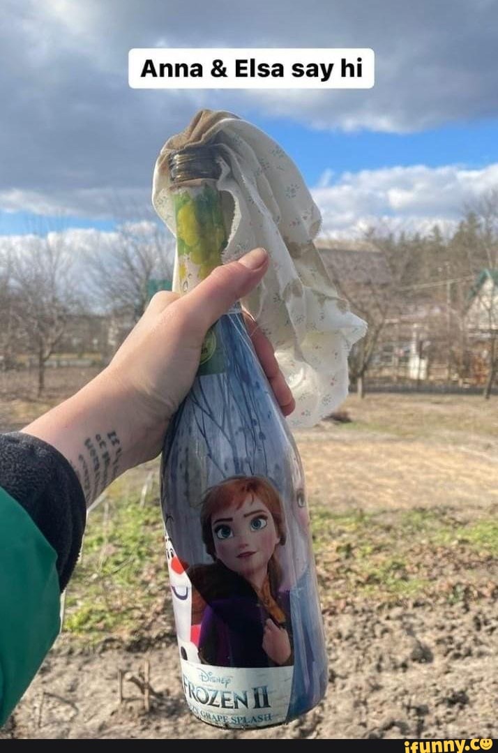 Anna & Elsa say hi - iFunny
