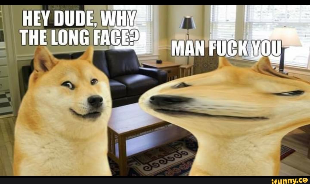 HEY DUDE. WHY= THE LONG FACES - iFunny