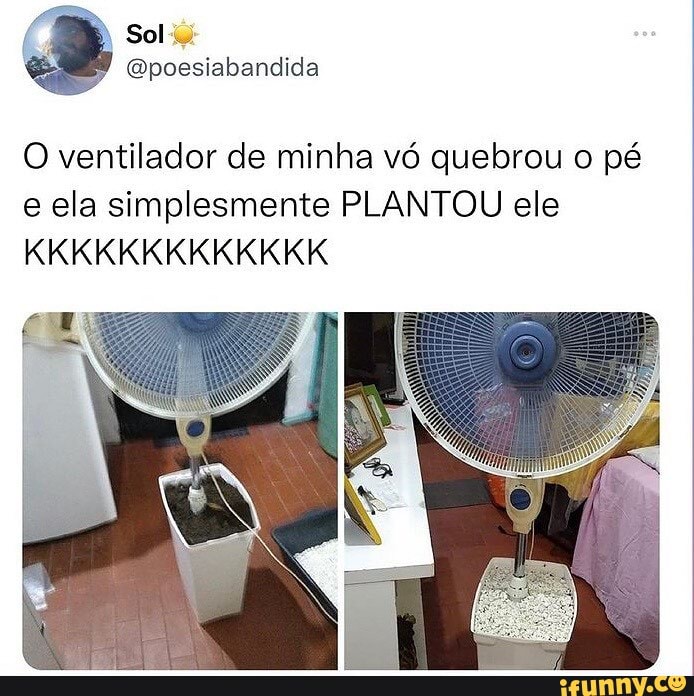 Meu pequeno pé de vento 😍 . #memesbra #memesbrasileiros #memesbro # ...
