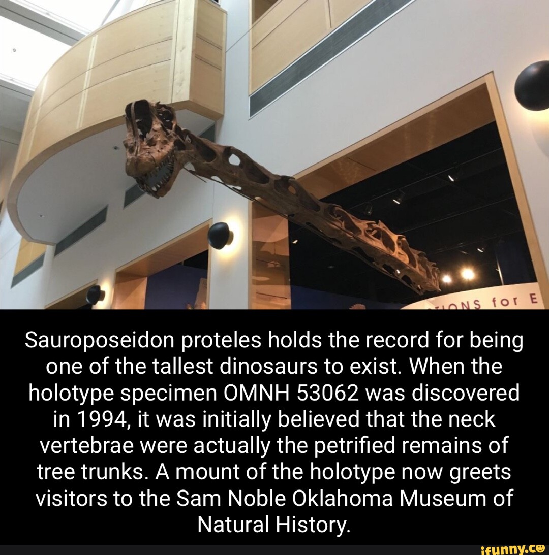 Sauroposeidon memes. Best Collection of funny Sauroposeidon pictures on ...