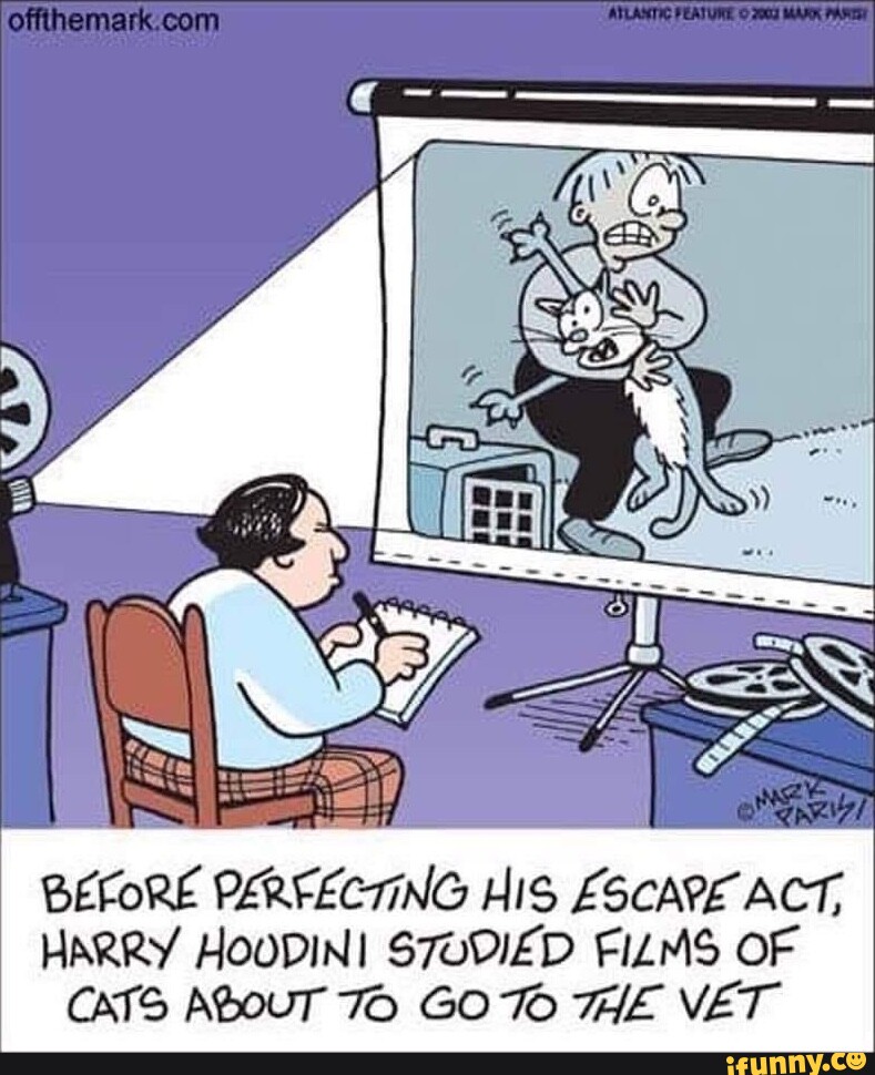 Houdini memes. Best Collection of funny Houdini pictures on iFunny