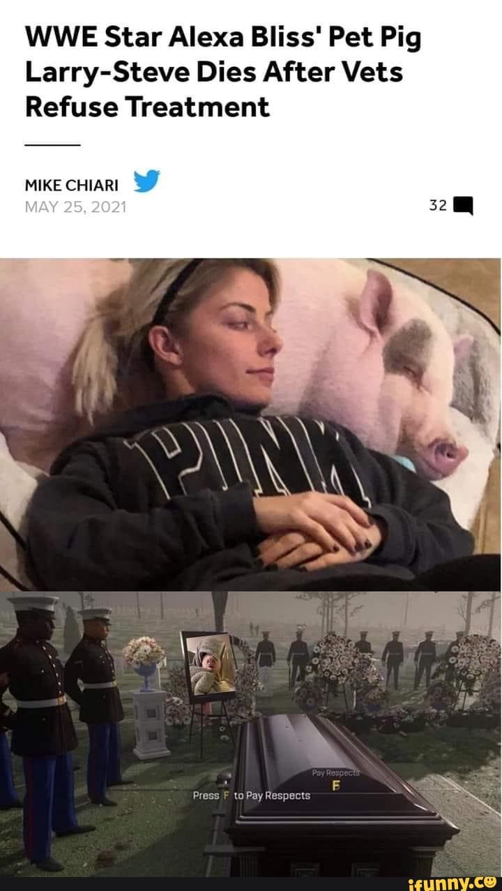 WWE Star Alexa Bliss' Pet Pig Larry-Steve Dies After Vets Refuse ...
