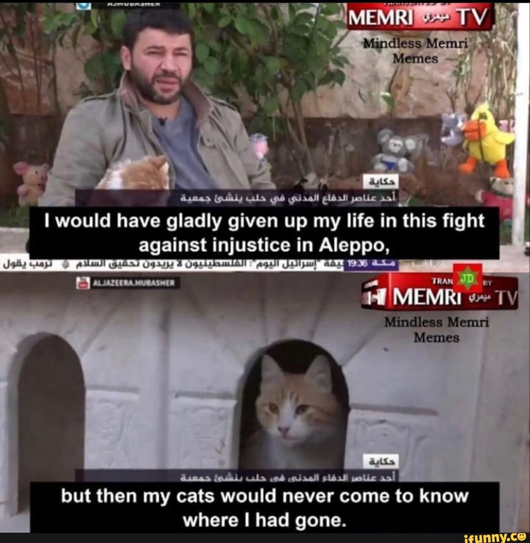 MEMRY TV Memes gldall would have gladly given up my life in this fight ...