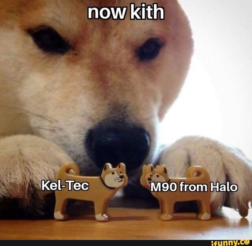 Halo memes memes. The best memes on iFunny