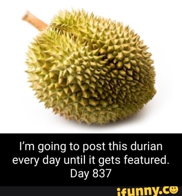 Durian memes. Best Collection of funny Durian pictures on iFunny