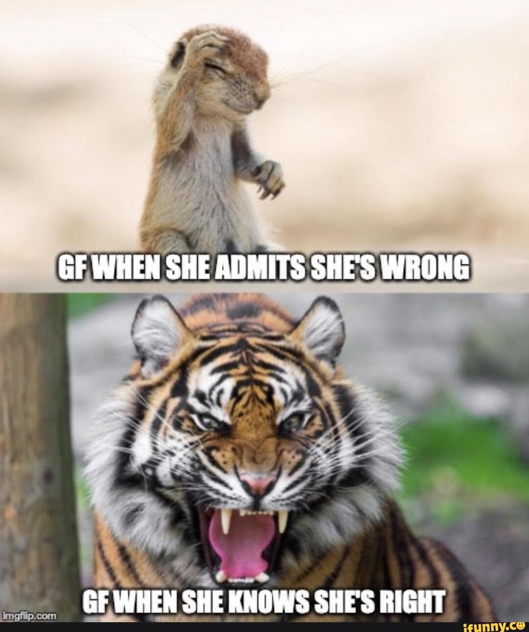 GF WHEN SHE ADMITS SHE'S WRONG GF WHEN SHE KNOWS SHE'S RIGHT - iFunny