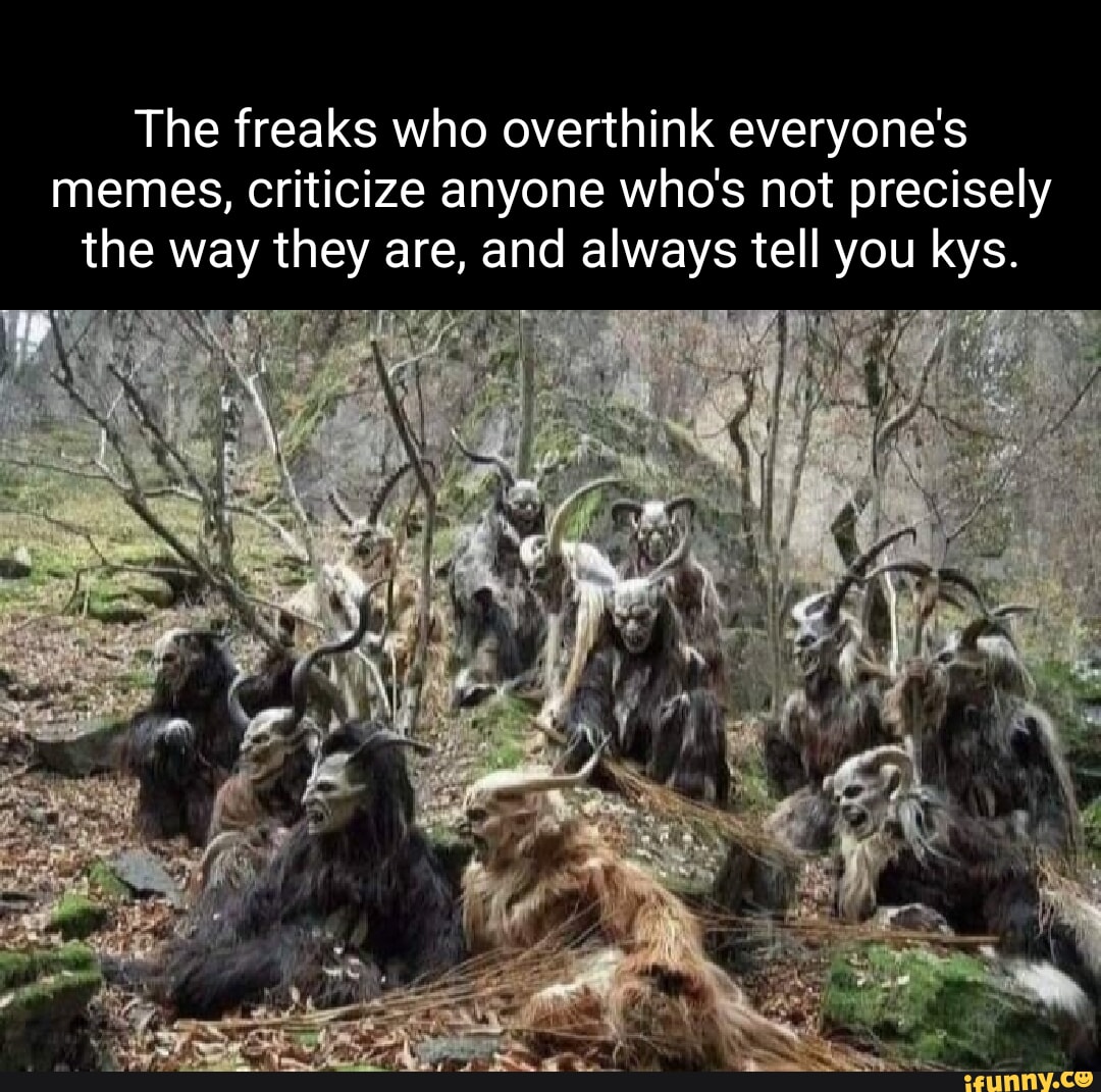 The freaks who overthink everyone's memes, criticize anyone who's not ...