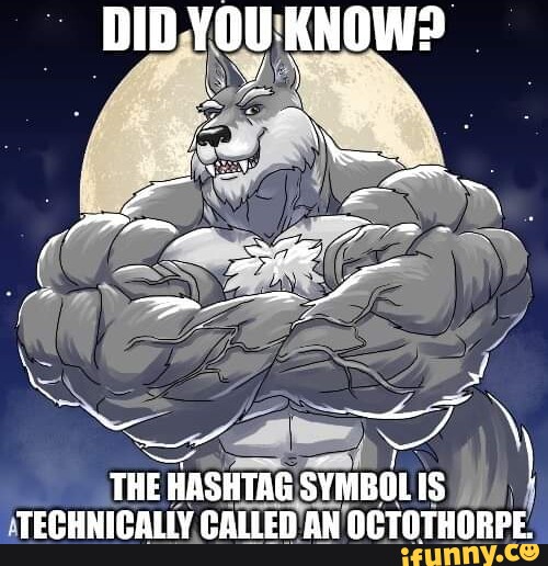 DID YOU: KNOW? THE HASHTAG SYMBOLIS TEGHNIGALLY CALLED AN OCTOTHORPE ...